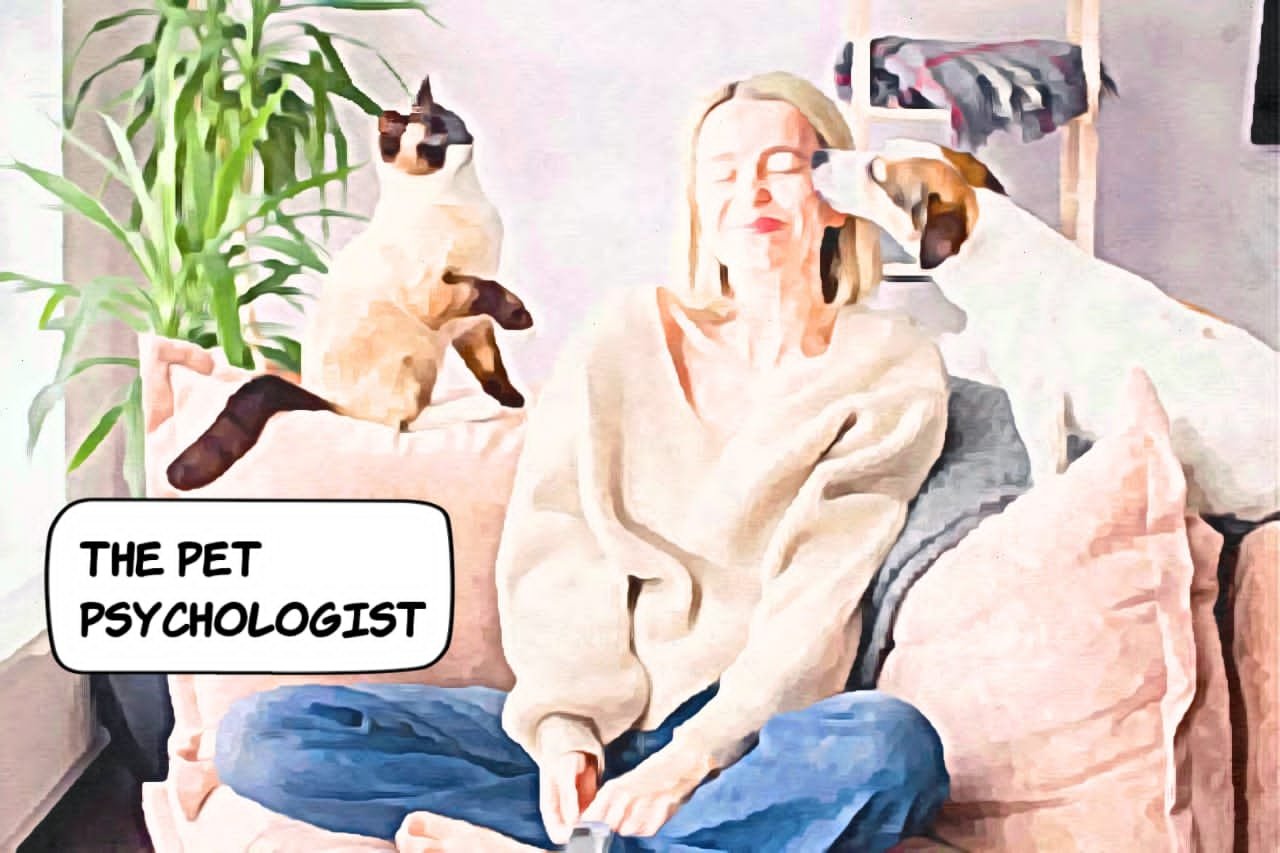 29 Funny Roasts For Your Friend S Mom Roasthow