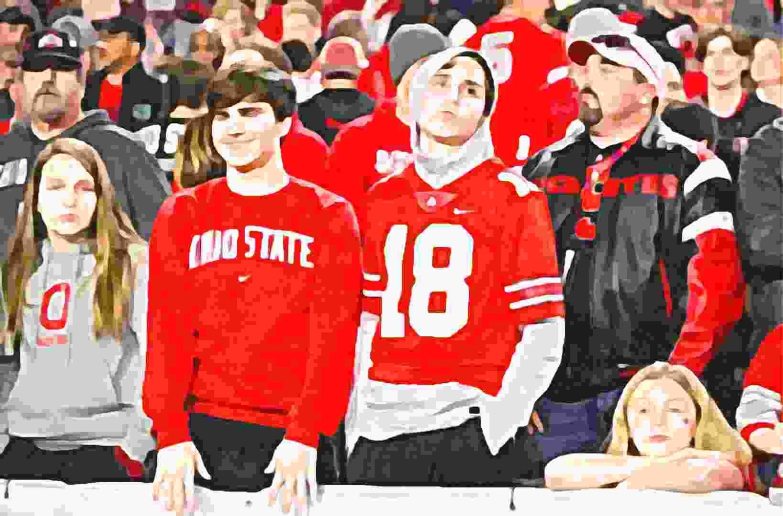 15 Best Roasts For Ohio State Fans - RoastHow
