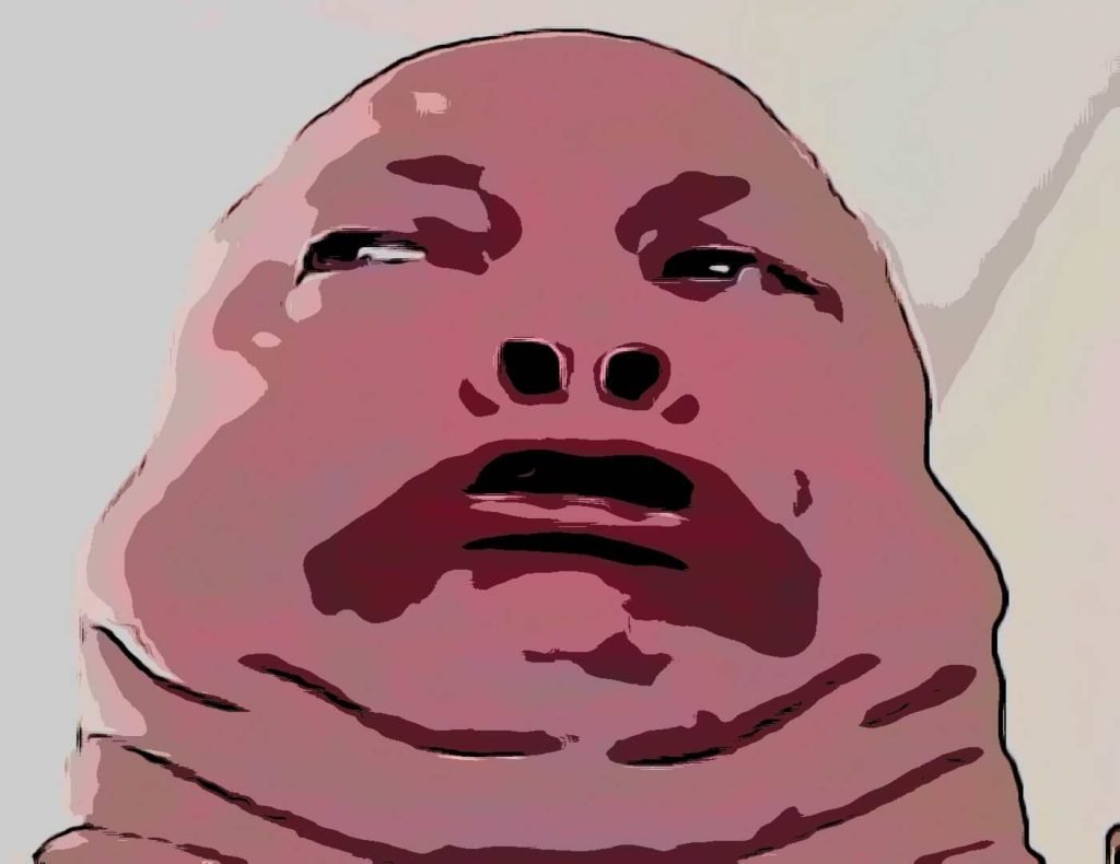 20 Best Roast for a "Triple Chin" Guy - RoastHow