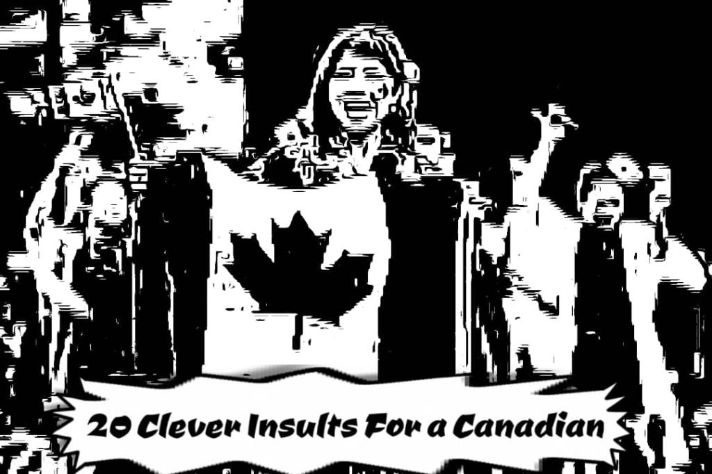 20 Clever Insults For a Canadian - RoastHow